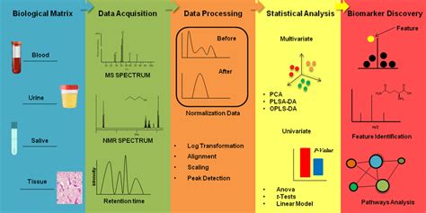 Five Steps In The Metabolomics Workflow Download Scientific Diagram