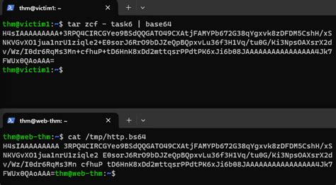 THM Data Exfiltration Pentest Journeys