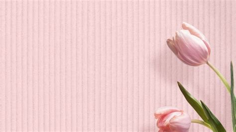 Download Pastel Pink Tulips Aesthetic Wallpaper