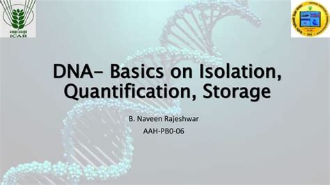 Dna Basics On Isolation Quantification Storage Pptx Biological
