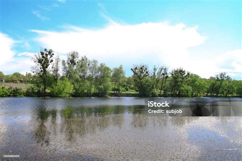 여름에 고원에서 아름다운 강 언덕의 배경에 생태학적으로 깨끗한 공원 보호구역에 있는 호수 봄에 예쁜 풍경 디자인용 스톡 사진 호수에 대한 스톡 사진 및 기타 이미지 Istock