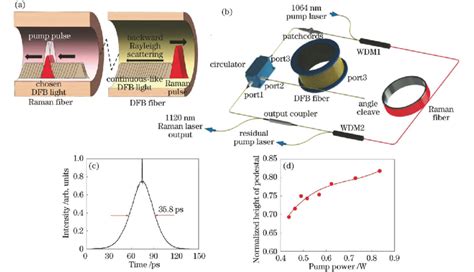 A Principle Of The Self Synchronous Raman Fiber Laser Based On