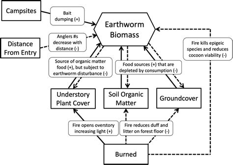 Metamodel Depicting Hypothesized Relationships Solid Lines Show