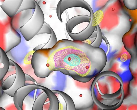1 Electron Density In The Cavity Of T4 Lysozyme Mutant L99a To
