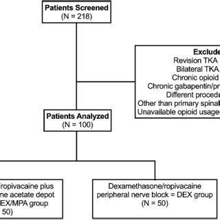 This STROBE Flowchart Shows Patient Inclusion Abbreviation STROBE Download Scientific