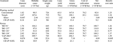 Effect Of Planting Methods And Variety On Yield Attributes Cane Yield