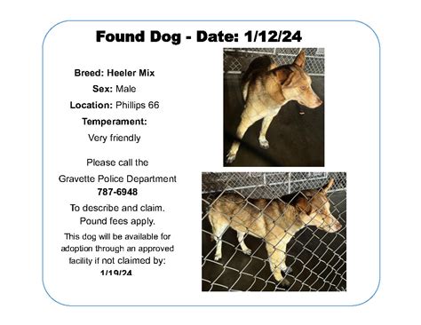 If You Know Who Where This Gravette Police Department