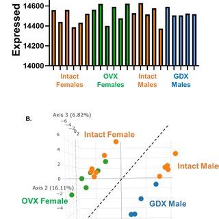RNA Seq Data Analysis After Quality Check Reads Were Mapped To The Download Scientific