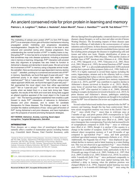 Pdf An Ancient Conserved Role For Prion Protein In Learning And Memory