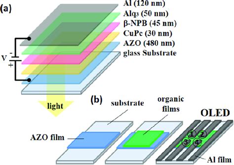 Schematic Representations Of A The Architecture Of The Oleds Download Scientific Diagram