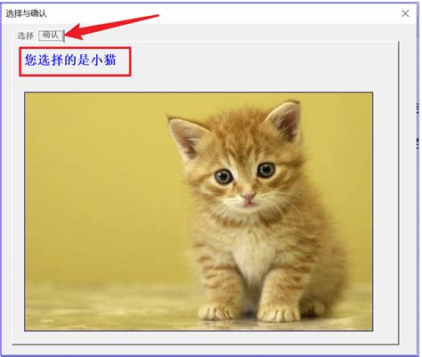 在窗体中选择和确认的代码实现 知乎