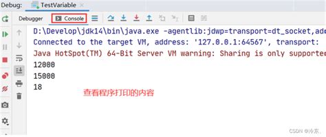 debug是什么？ csdn博客