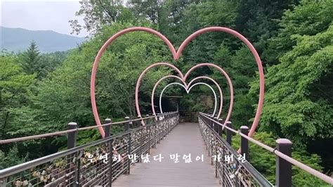 긴머리 소녀 노래 둘다섯 하모니카 연주 Youtube