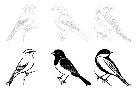 Tree Branch Bird Images Graphic By Creative View · Creative Fabrica