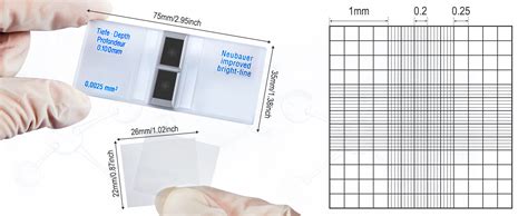 Creahub Improved Neubauer Hemocytometer Cell Counting Chamber With