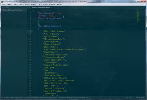 Sublime Text3 如何开启debug 。思索 博客园