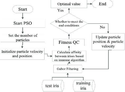 Gabor Filter Parameter Optimization Process Download Scientific