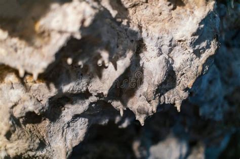 Lime Stone Stalactites In The Cave Mineral Formation That Hangs From