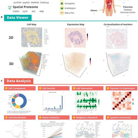 Schematic Design Of Aquila A Various Types Of Spatial Omics Datasets