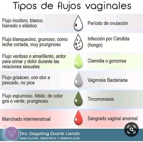 Mi Flujo Vaginal Es Normal Divulgaci N Cient Fica Ug Off