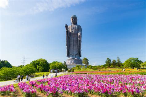 7 Must See Giant Buddha Statues In Japan