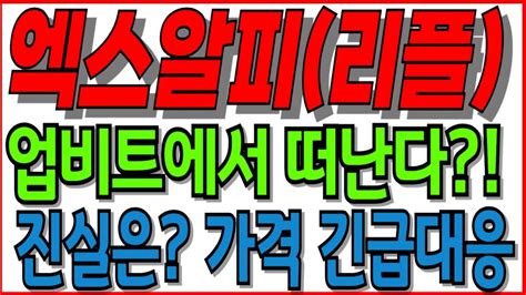 엑스알피 리플 코인전망 Xrp📡 Live 🔴업비트 상장폐지 결론 내드리면서 긴급대책 열겠습니다 리플xrp 리플 엑스알피 Youtube