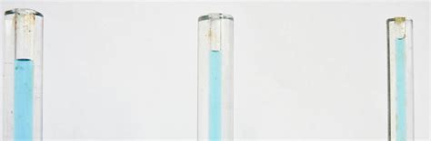 La Breda In Rete 1a Capillarità