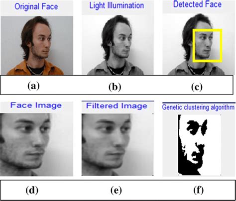 Framework For Proposed System Fei Dataset At 60° A Actual Image B