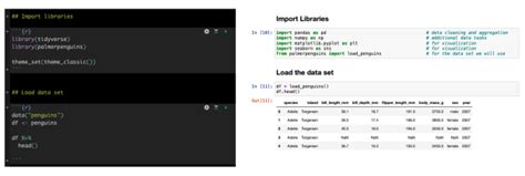From Tidyverse To Python Patrick Ward PhD