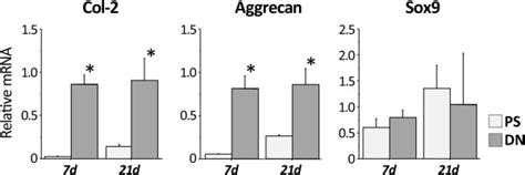 Gene Expression Of Type 2 Collagen Col 2 Aggrecan And Sox9 In Atdc5