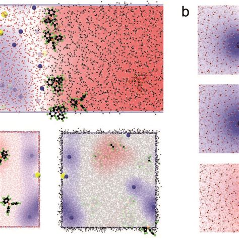 A Simulated Electrostatic Potential Map Between The Ion Layers At The Download Scientific