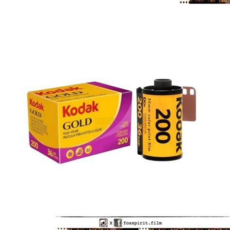 Kodak Gold 200 - ISO 200 - 36exp - Film 35mm – Fox Spirit's Film