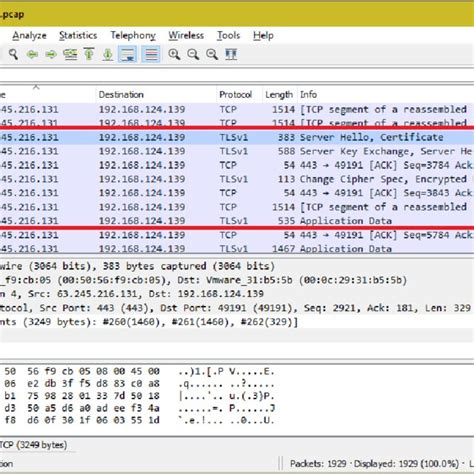 Network Packets Captured By Wireshark Download Scientific Diagram