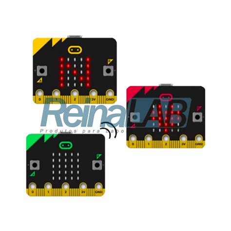Micro Bit Reinalab