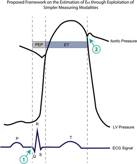 Frontiers | AI-Based Estimation of End-Systolic Elastance From Arm ...