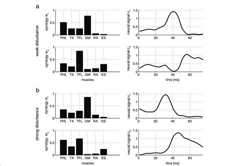 Synergy Two Sets Of Synergies W Bar Graphs And Synergy Recruitments Download Scientific