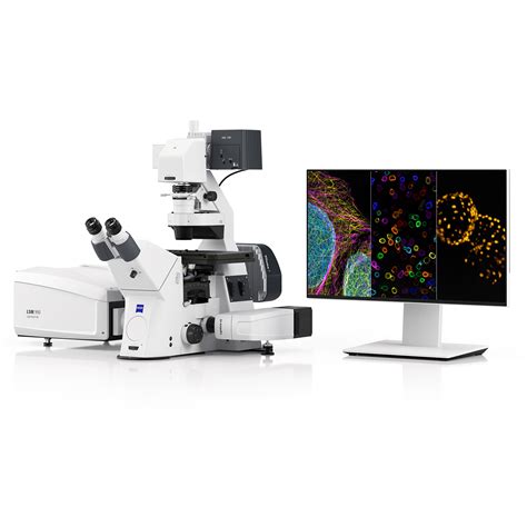Zeiss Lsm 990 Confocal Microscope For Top Class Multimodal Imaging