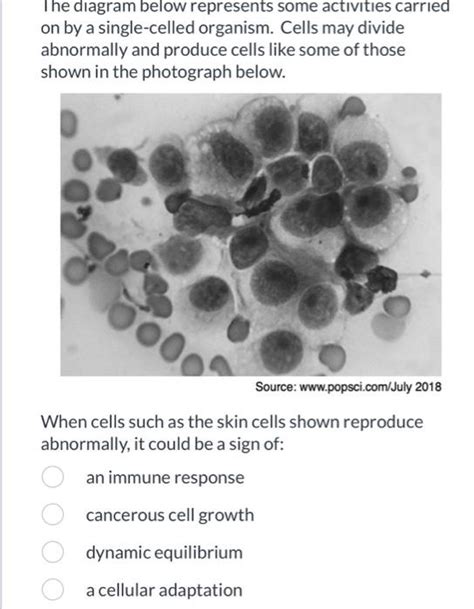 Solved The Diagram Below Represents Some Activities Carried Chegg