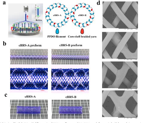 Figure 1 From Development Of A Polycaprolactone Poly P Dioxanone Bioresorbable Stent With
