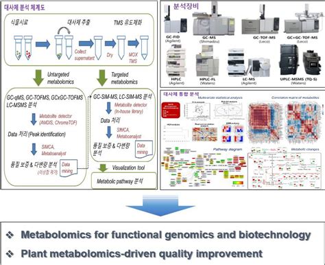 식물 대사 실험실