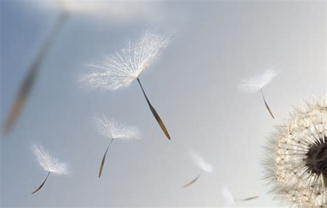 Patrick De Backer Condoleren Scheldeland Uitvaartzorg Op Maat