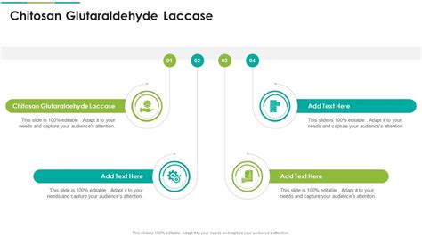 Chitosan Glutaraldehyde Laccase In Powerpoint And Google Slides Cpp PPT Sample