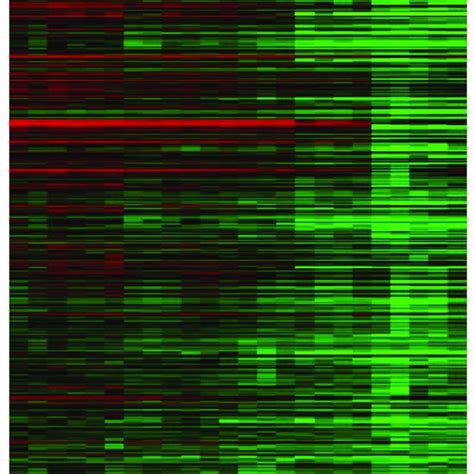 Heat Map Showing Hierarchical Clustering Of Individual Arrays By Gene