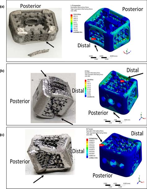 Validation Of The Finite Element Analysis Similar Failure Locations At Download Scientific