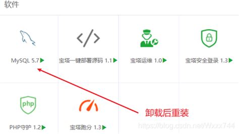 虚拟机本来有mysql，后安装宝塔的mysql导致mysql不能启动报错 linux 之前单独安装的mysql 之后又通过宝塔安装的mysql