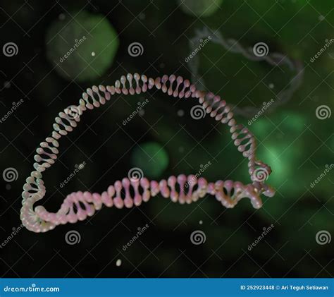 Plasmid And Recombinant Bacterial Dna Cartoon Vector 107767279