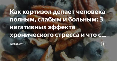 Как кортизол делает человека полным слабым и больным 3 негативных эффекта хронического стресса