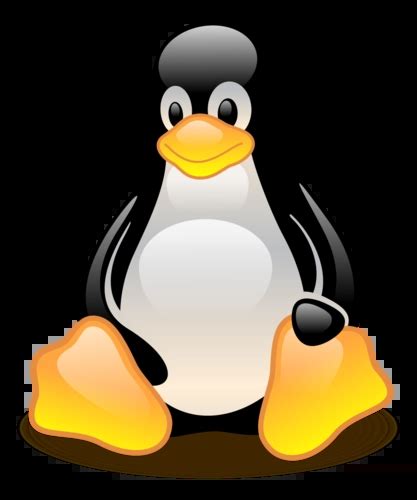 linux环境下查看cpu型号的详细指南 不念博客