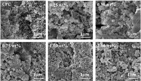 Sem Micrographs Of The Hydrated Cements Download Scientific Diagram