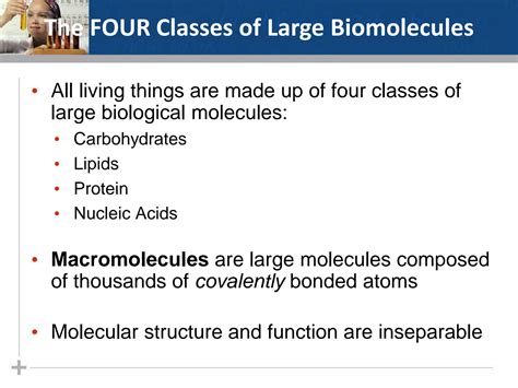 Solution Biotech 108 Structure And Functions Of Macromolecules Studypool